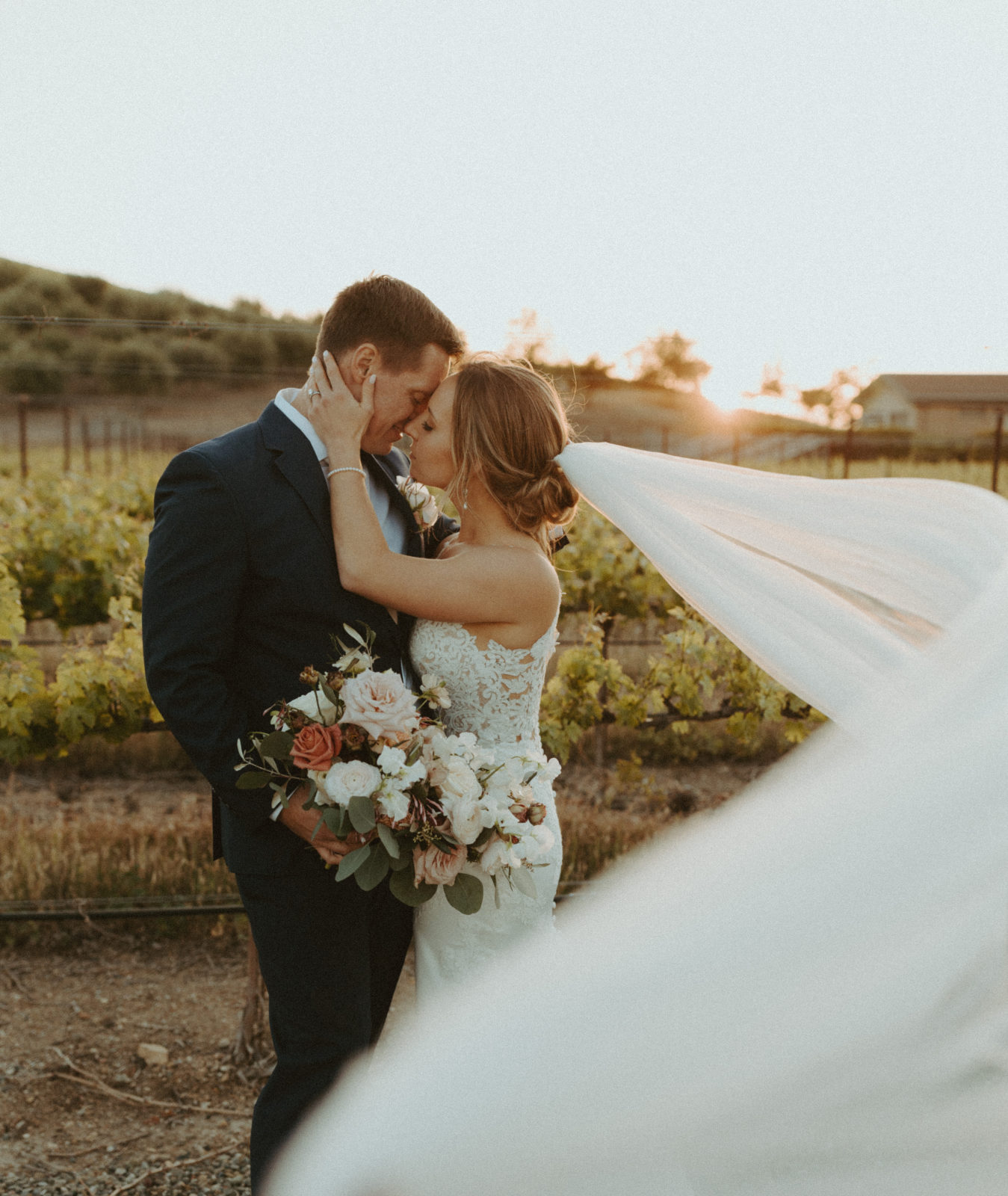 Murrieta's Well: Stunning Vineyard in California Perfect for Your ...